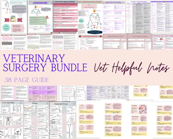 Veterinary Surgery Bundle Vet Tech Notes VTNE Prep - Etsy