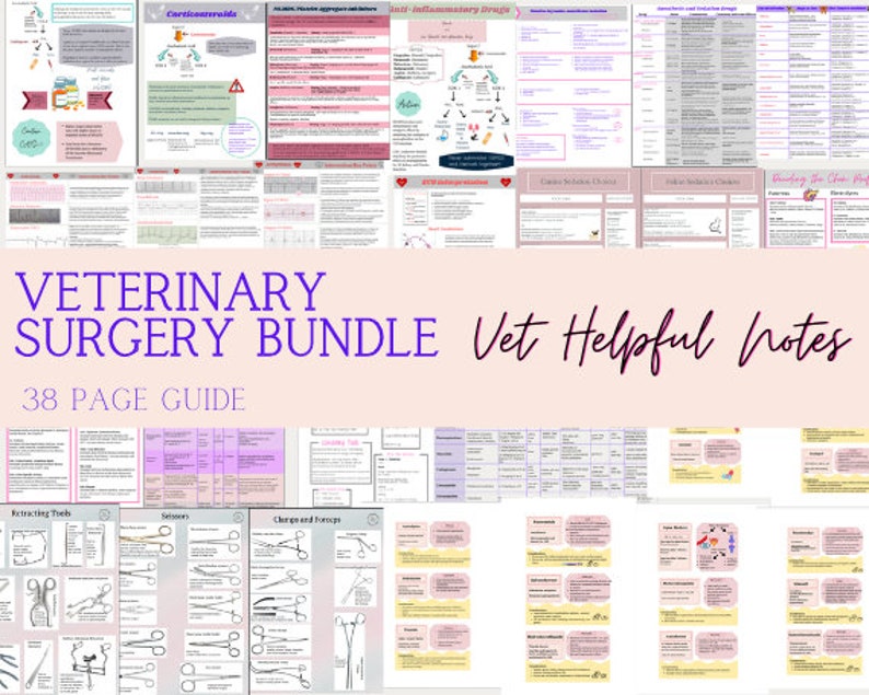 Veterinary Surgery Bundle Vet Tech Notes VTNE Prep - Etsy