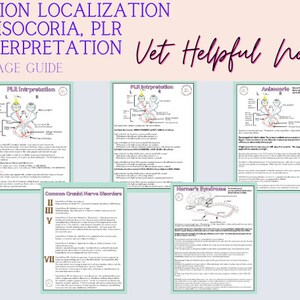 Vet Tech Neurology Study Notes Vet Nurse Cheat Sheets Vet Med Study Vet ...