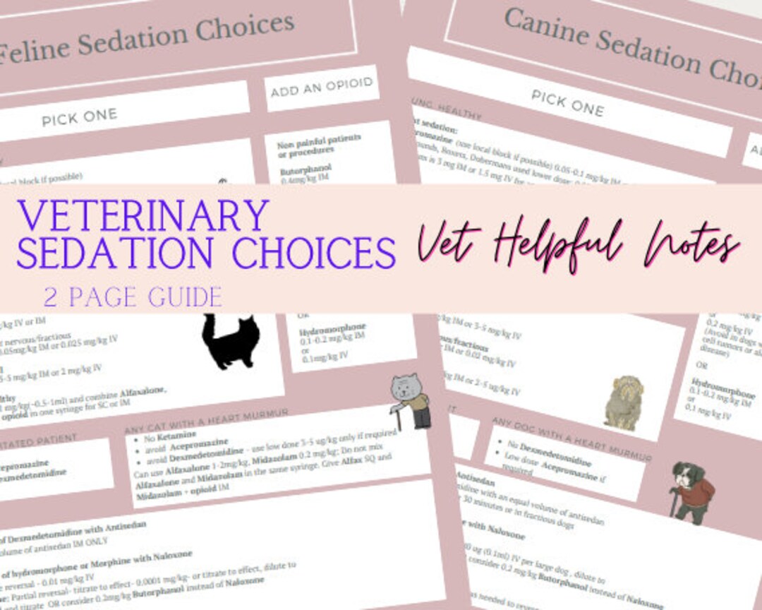 Veterinary Sedation Choices Canine/feline Vet Tech Sedation - Etsy