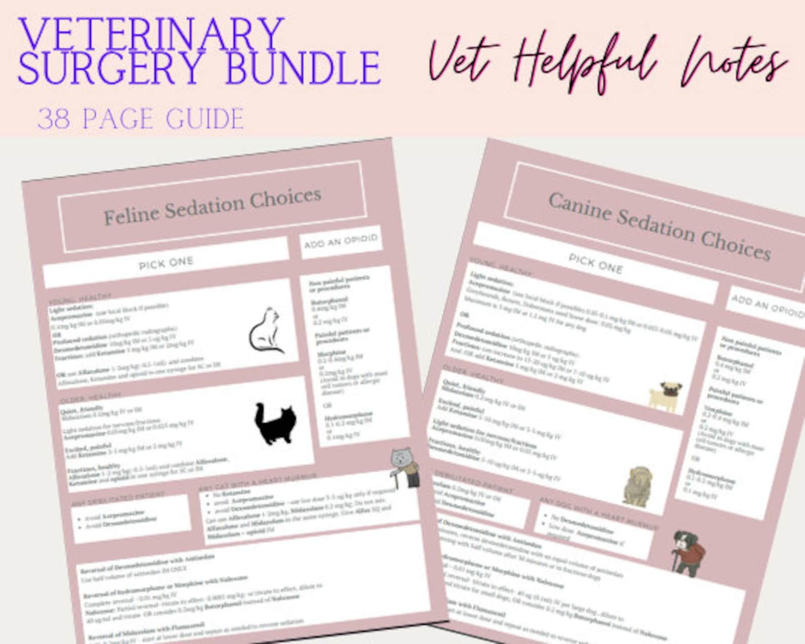 Veterinary Surgery Bundle, Vet Tech Notes, VTNE Prep - Etsy
