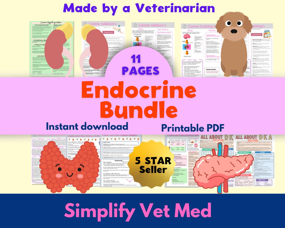 Veterinary Endocrine Diseases Bundle- Vet Tech, Vet Nurse, Vet Student ...