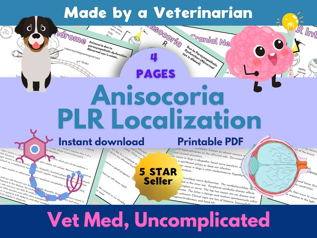 Vet Tech Neurology Study Notes Vet Nurse Cheat Sheets Vet Med Study Vet ...