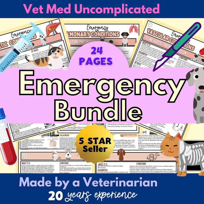 VetHelpfulNotes - Etsy