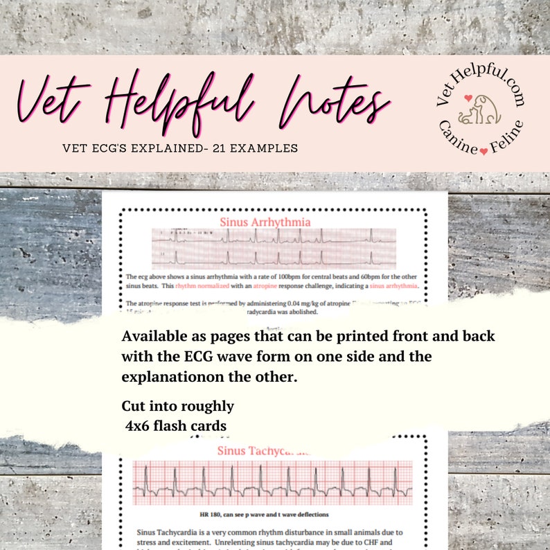 Vet Reference ECG, Vet Tech Pocket Guide , ECG Reference, EKG , Flash ...