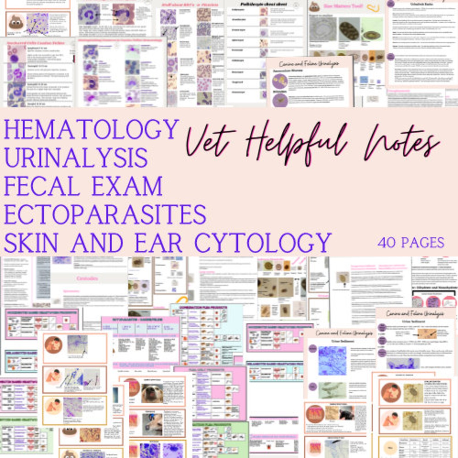 Veterinary Clinical Bundle: Hematology Urinalysis Fecal - Etsy