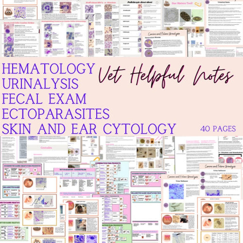 Veterinary Clinical Bundle: Hematology Urinalysis Fecal - Etsy
