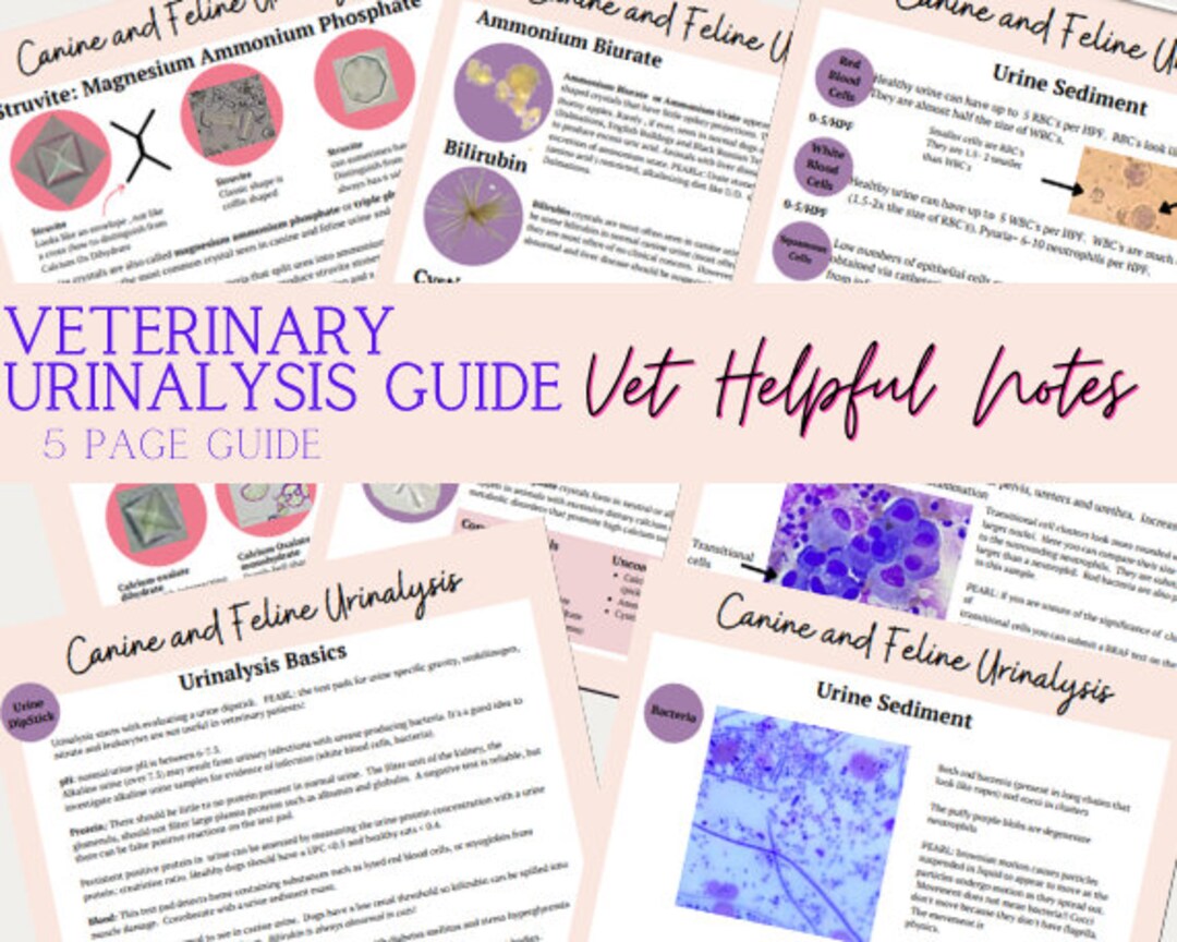 Veterinary Urinalysis Guide - Etsy