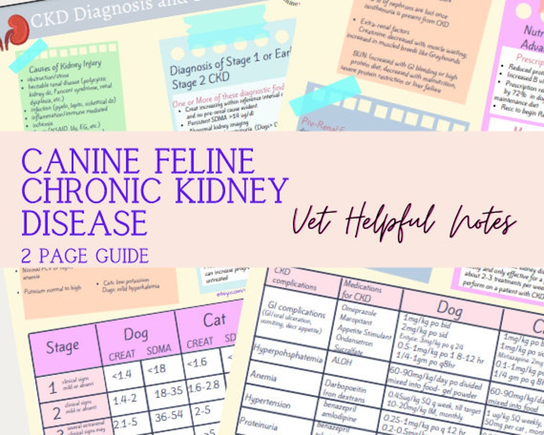 Canine/feline Chronic Kidney Disease Guide - Etsy
