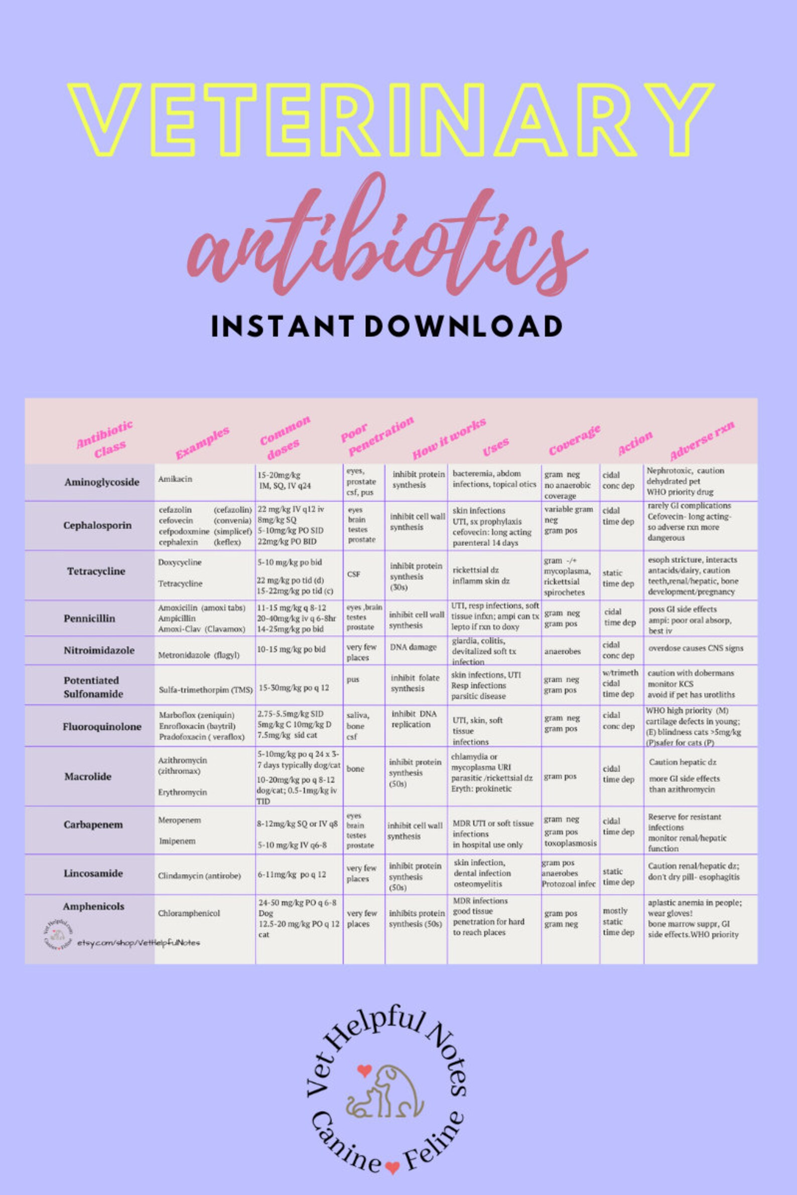 Veterinary Antibiotics Study Guide Vet Tech Antibiotic Cheat - Etsy