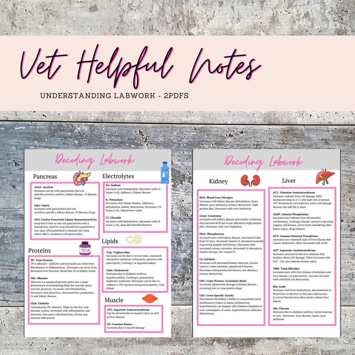 Vet Tech Blood Chemistry Interpretation Vet Nurse Lab Values - Etsy