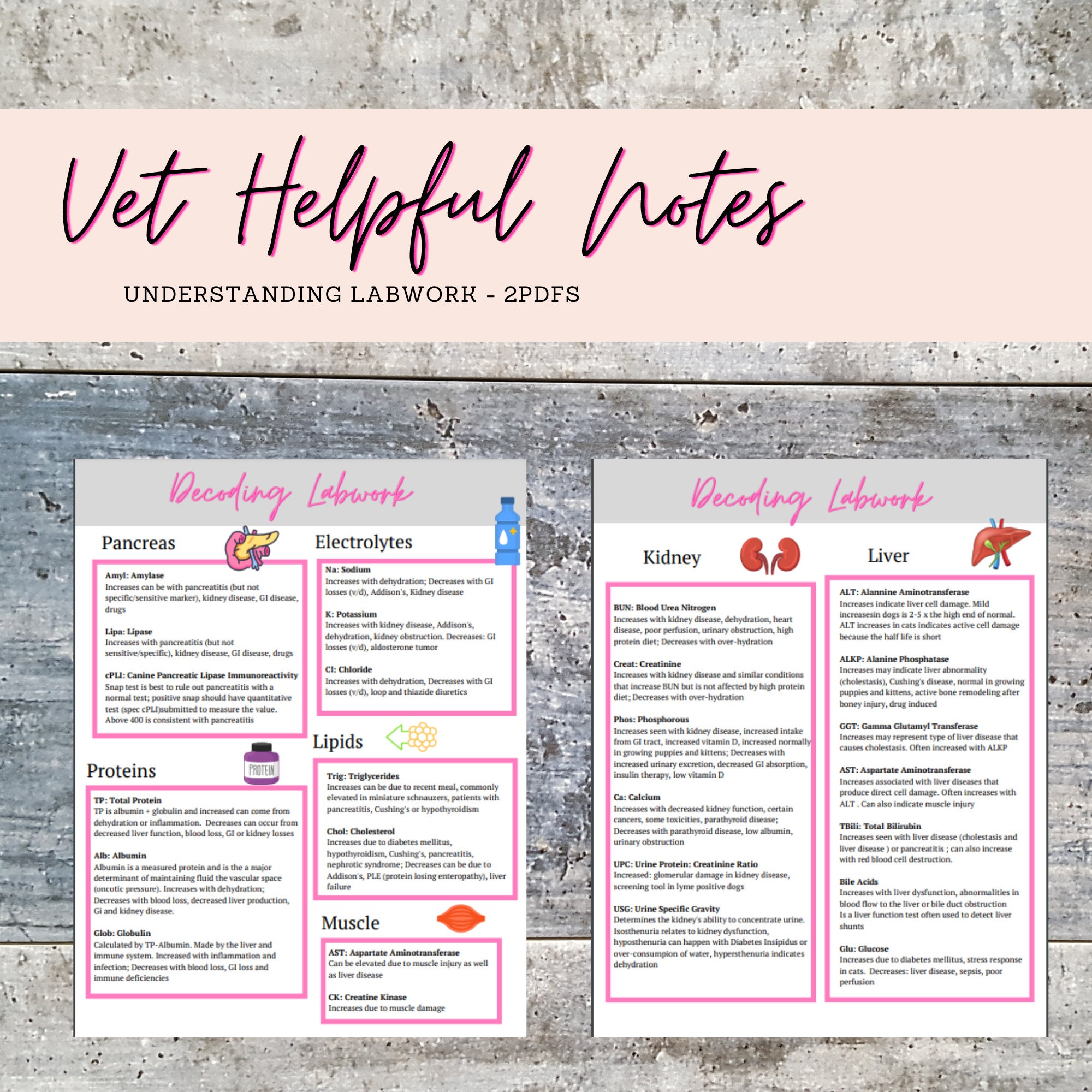 Vet Tech Blood Chemistry Interpretation Vet Nurse Lab Values | Etsy