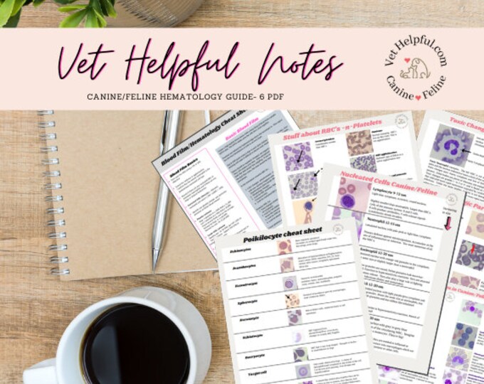 Veterinary Surgery Bundle Vet Tech Notes VTNE Prep - Etsy