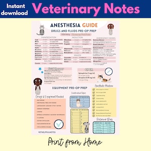 Veterinary Anesthesia Cheat Sheets Vet Tech Notes Vet Nurse Anesthesia ...