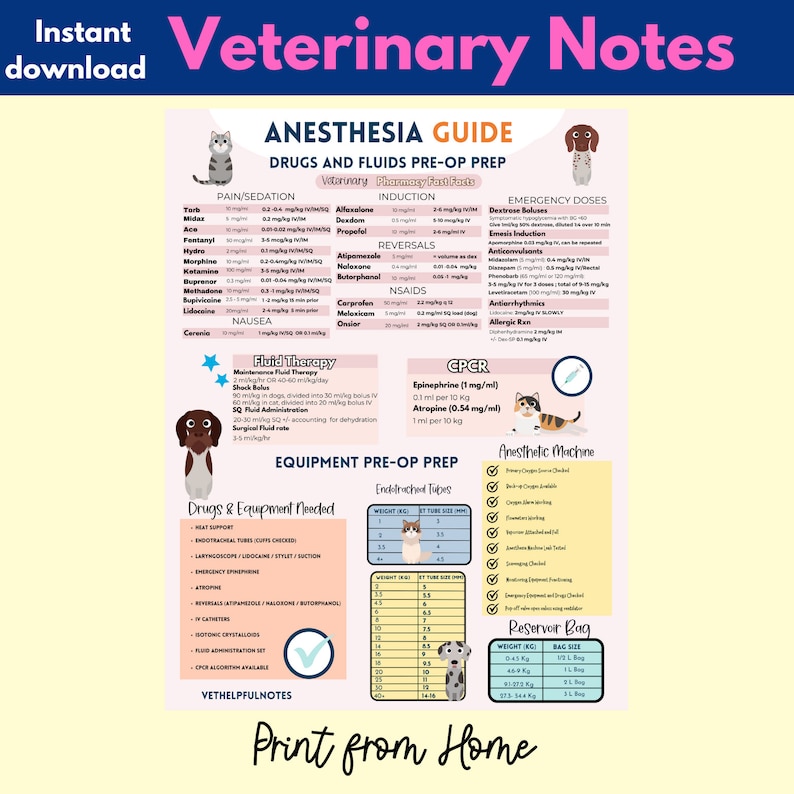Veterinary Anesthesia Cheat Sheets Vet Tech Notes Vet Nurse Anesthesia ...