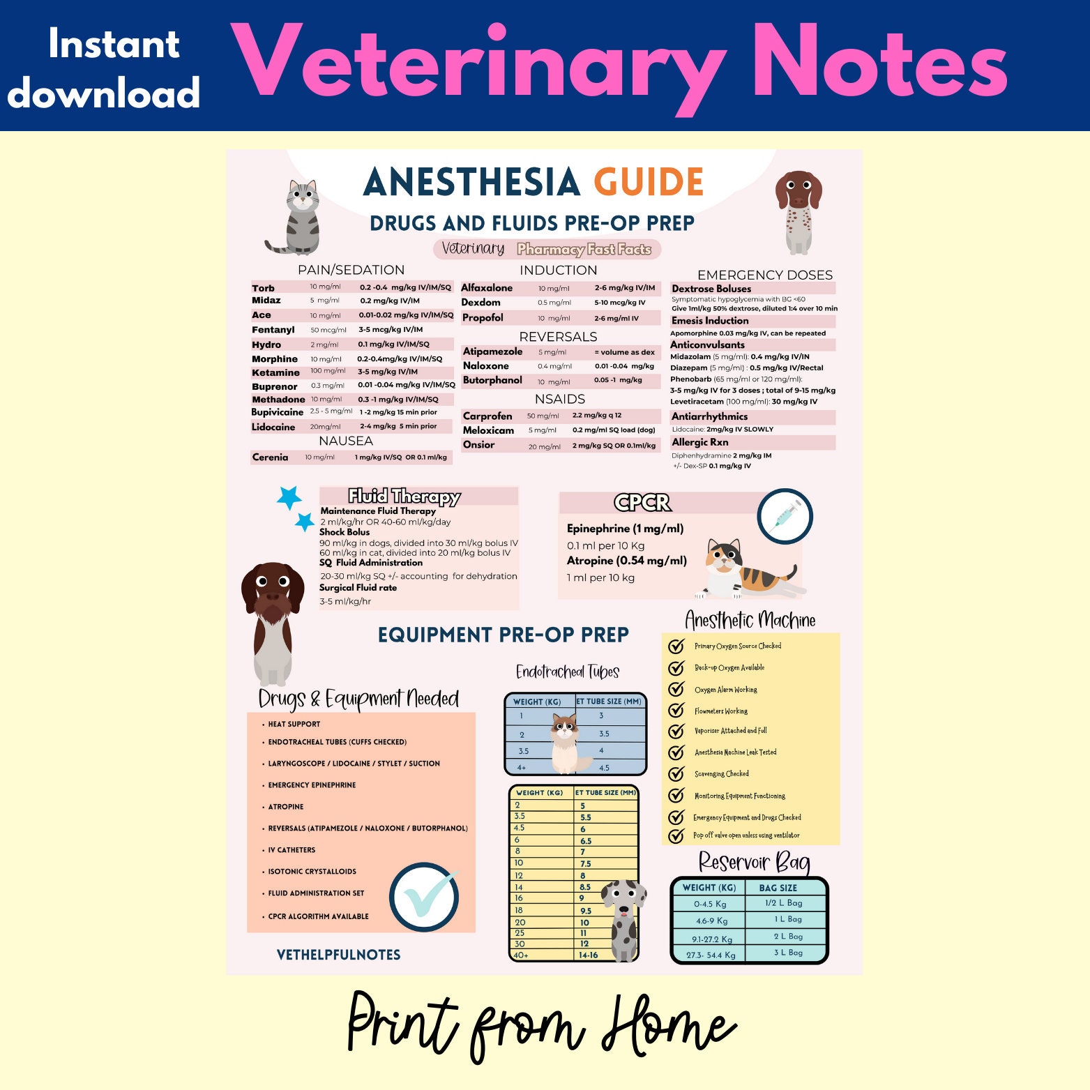 Veterinary Anesthesia Cheat Sheets Vet Tech Notes Vet Nurse Anesthesia ...