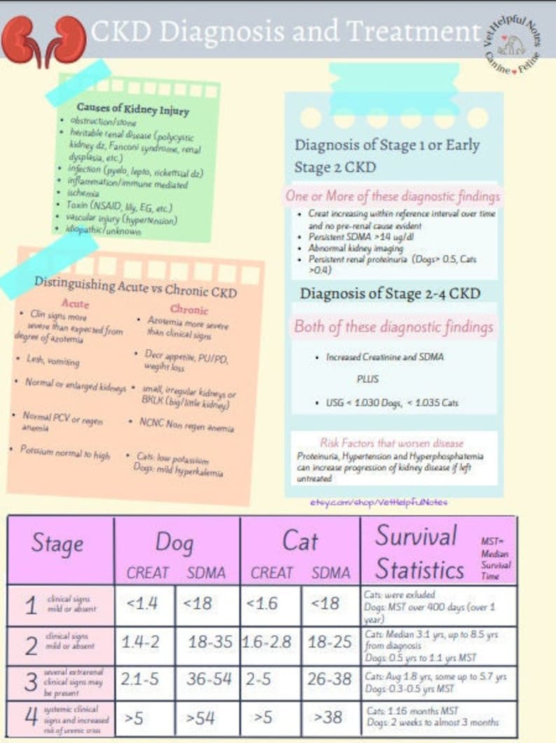 Canine/feline Chronic Kidney Disease Guide - Etsy