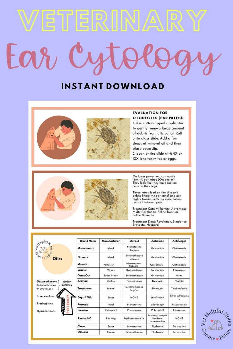 Vet Tech Skin and Ear Cytology Notes Vet Tech and Vet Nurse - Etsy
