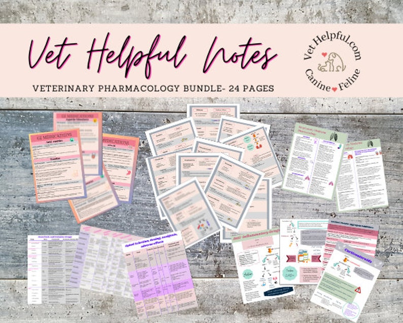 Veterinary Pharmacology Bundle: Antibioticsgi Cardio | Etsy