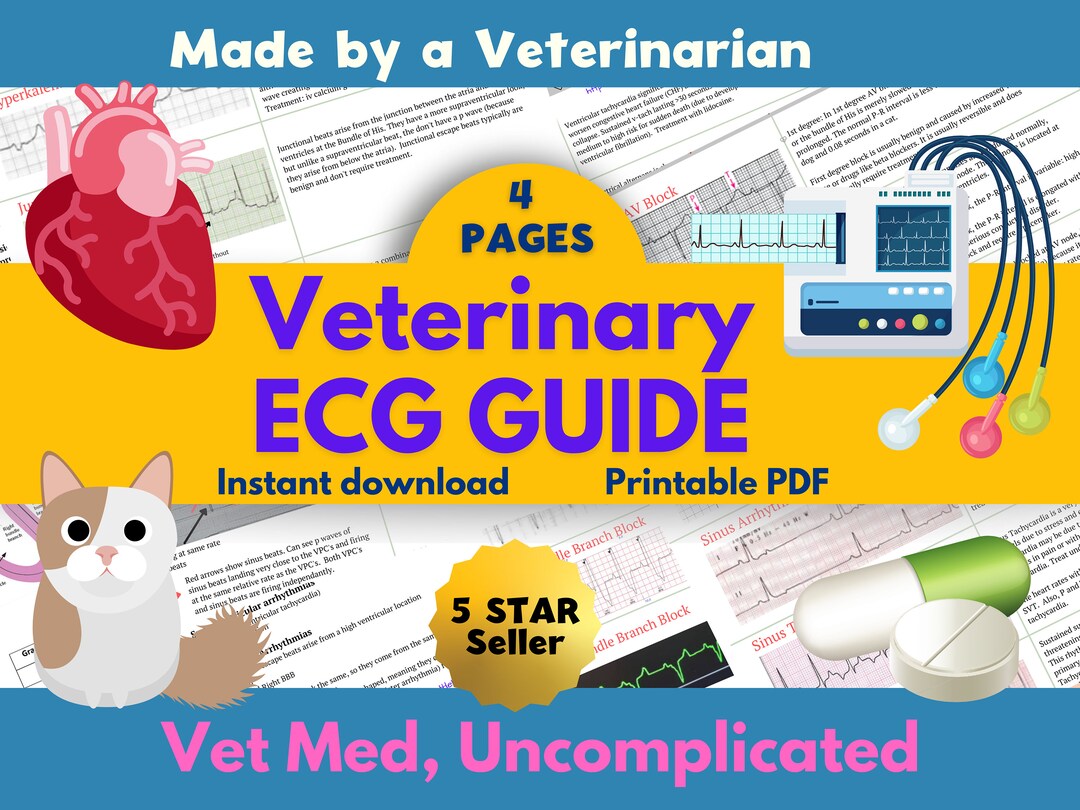 Vet Med ECG Cheat Sheets, Vet Nurse ECG Guide, Vet Tech ECG Guide - Etsy