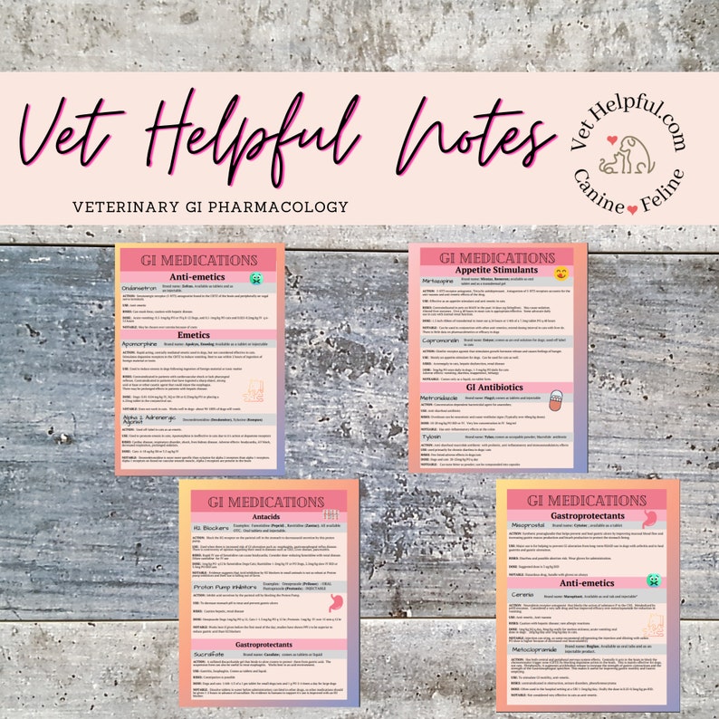 Veterinary GI Pharmacology, Vet GI Medications Guide - Etsy