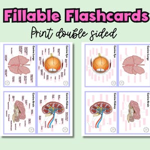 Veterinary Anatomy Flashcards Study Vet Tech Anatomy Flash Cards Canine ...