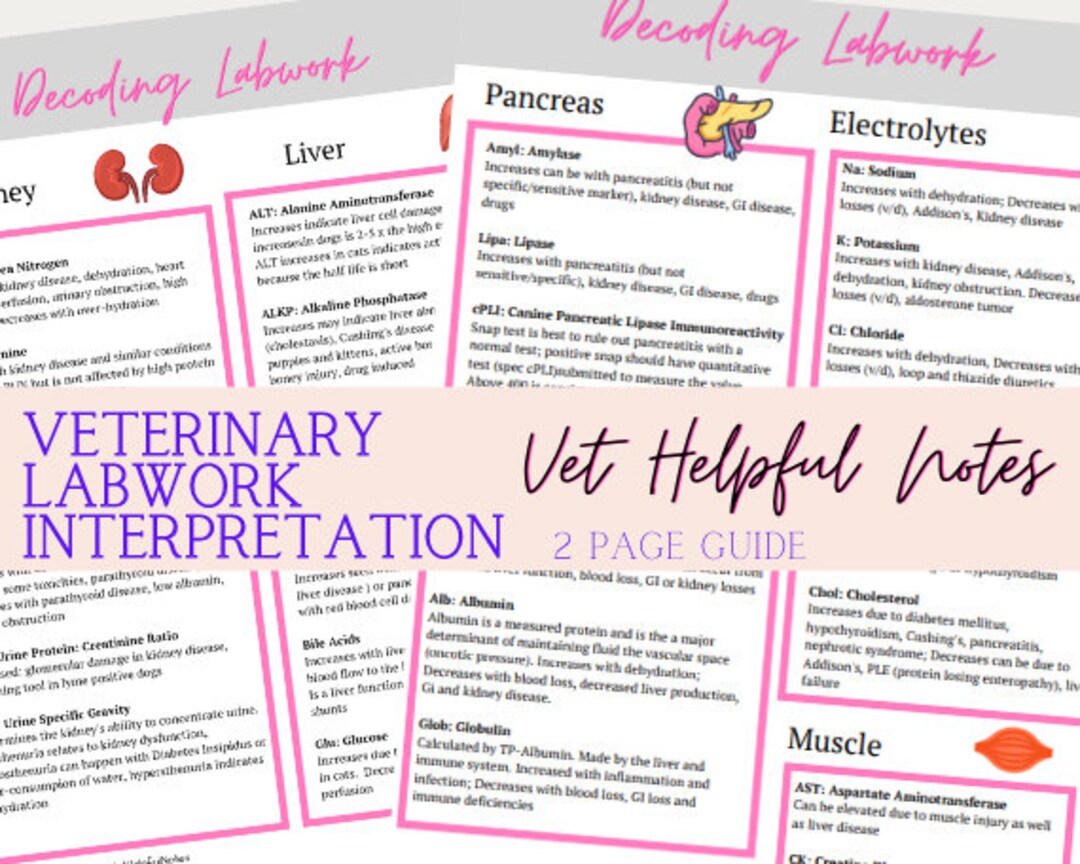 Vet Tech Blood Chemistry Interpretation Vet Nurse Lab Values - Etsy