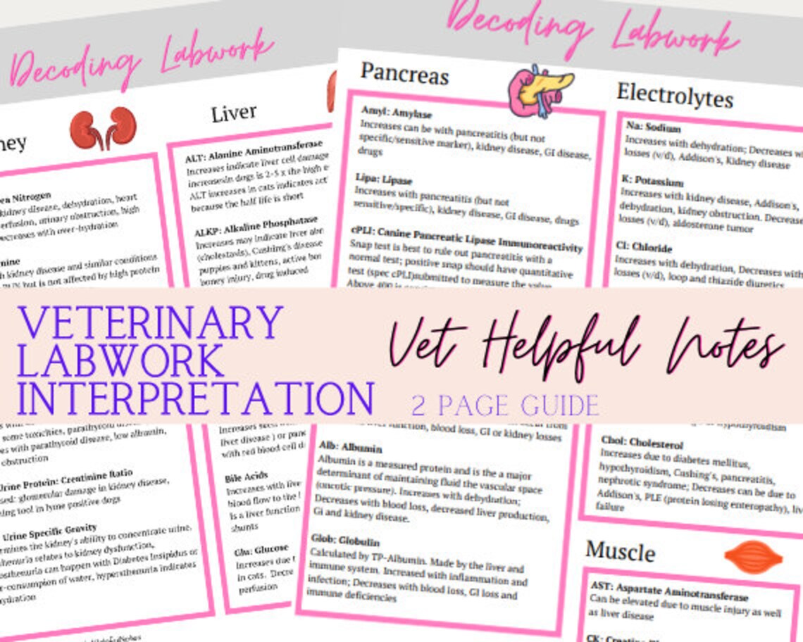 Vet Tech Blood Chemistry Interpretation Vet Nurse Lab Values - Etsy
