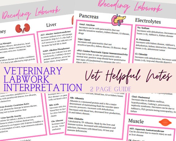 Vet Tech Blood Chemistry Interpretation Vet Nurse Lab Values - Etsy