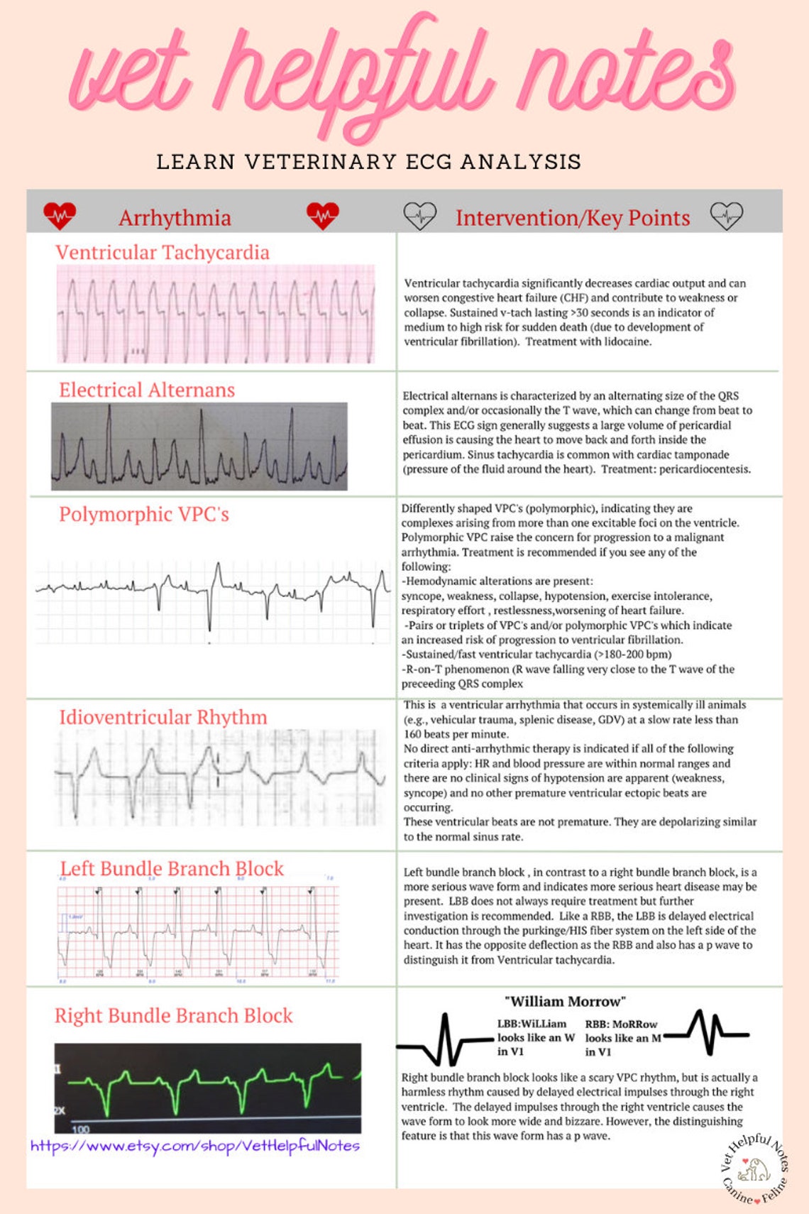 Vet Med ECG Cheat Sheets Vet Nurse ECG Guide Vet Tech ECG - Etsy