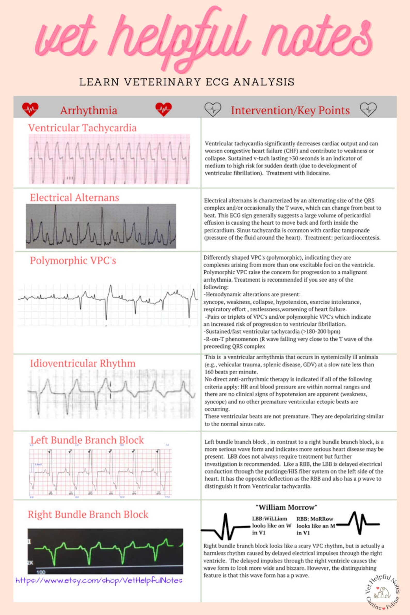 Vet Med ECG Cheat Sheets Vet Nurse ECG Guide Vet Tech ECG - Etsy