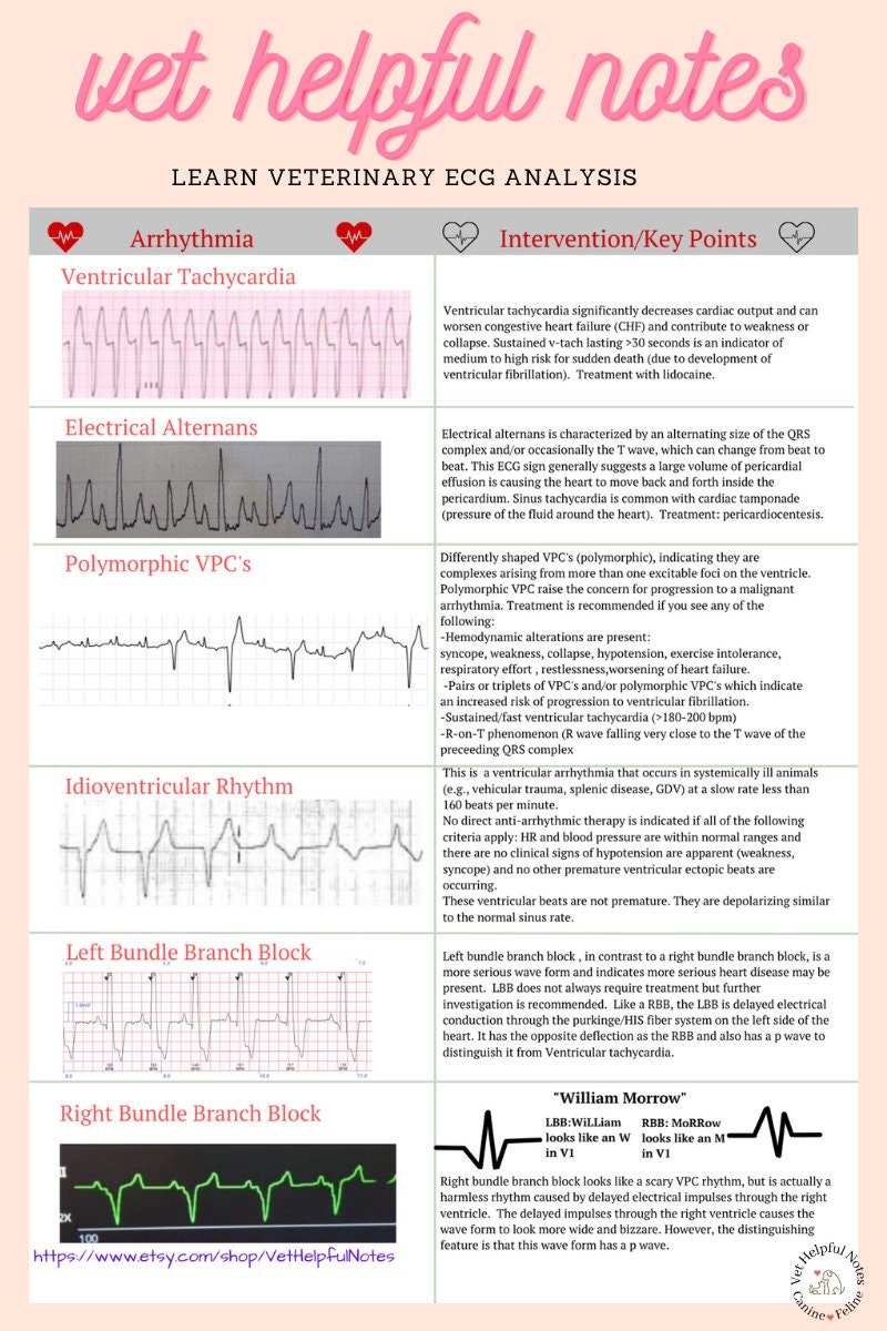 Vet Med ECG Cheat Sheets Vet Nurse ECG Guide Vet Tech ECG - Etsy