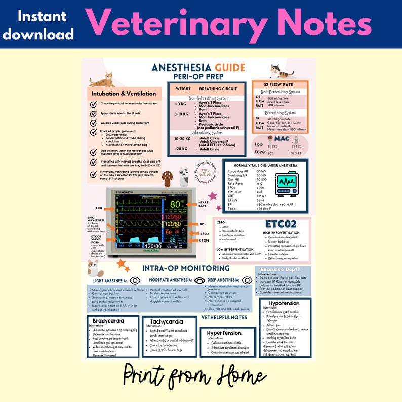 Veterinary Anesthesia Cheat Sheets Vet Tech Notes Vet Nurse Anesthesia ...