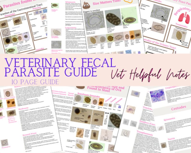 Veterinary Fecal Parasite Guide Vet Tech Fecal Vet Nurse - Etsy