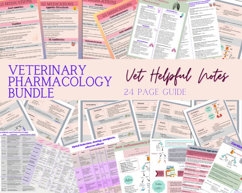 Veterinary Pharmacology Bundle: Antibioticsgi Cardio | Etsy