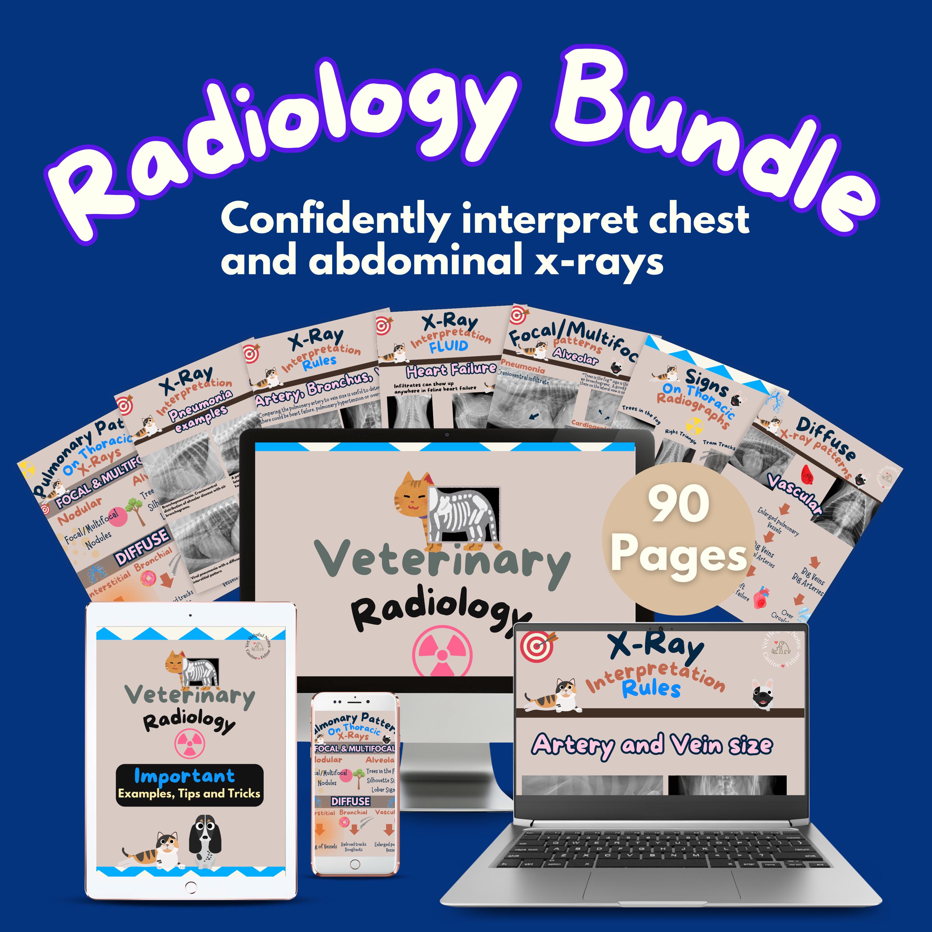 Veterinary Radiology Notes Vet Student X-ray Guide Veterinary X-ray ...