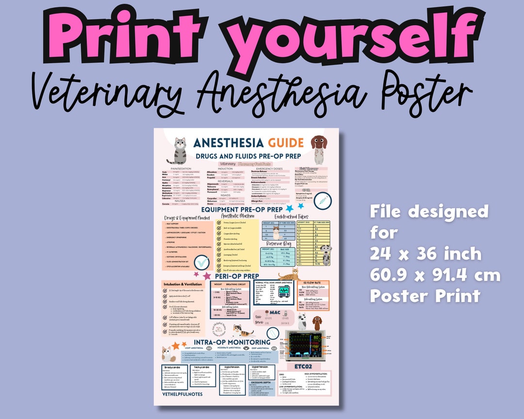 Printable Veterinary Anesthesia Poster Digital Vet Tech Anesthesia ...