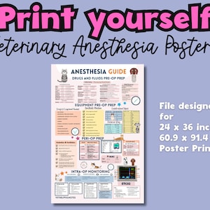 Printable Veterinary Anesthesia Poster Digital Vet Tech Anesthesia ...