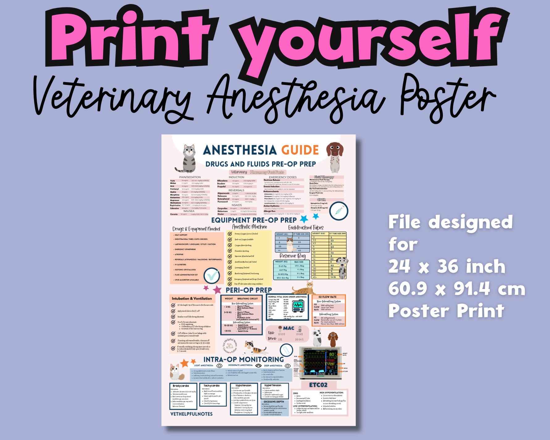 Veterinary Anesthesia Poster Printable Vet Surgery Poster Print From ...