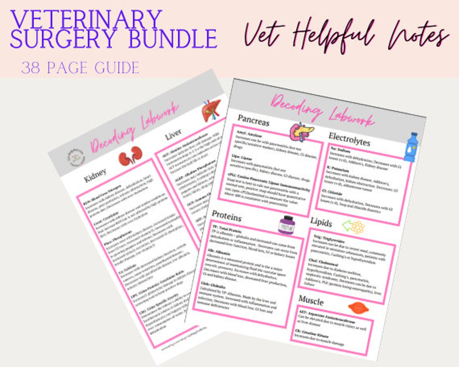 Veterinary Surgery Bundle, Vet Tech Notes, VTNE Prep - Etsy