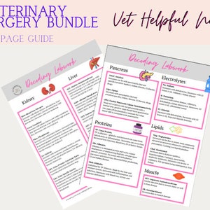 Veterinary Surgery Bundle, Vet Tech Notes, VTNE Prep - Etsy