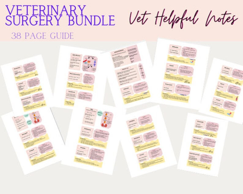 Veterinary Surgery Bundle Vet Tech Notes VTNE Prep - Etsy
