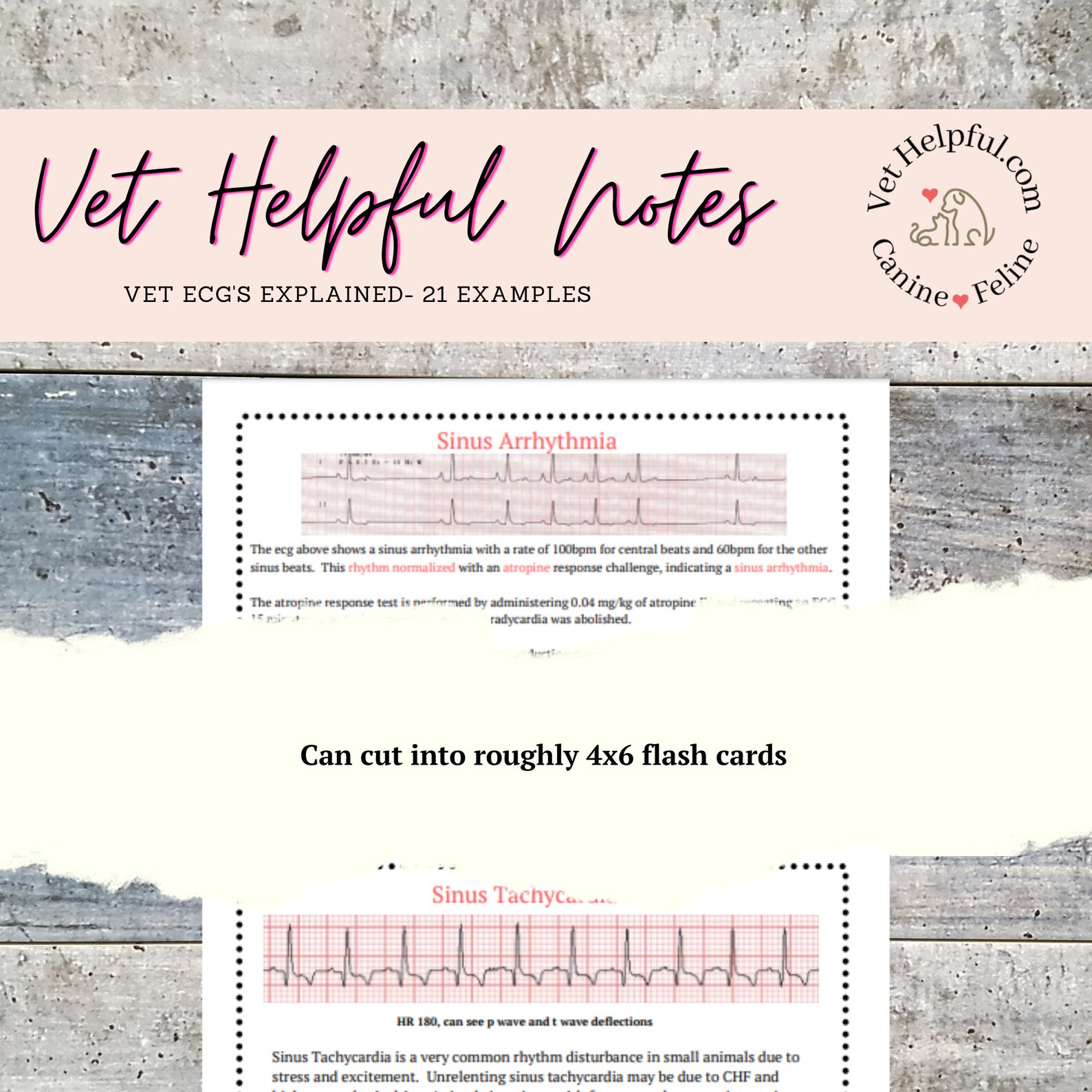Vet Reference ECG Vet Tech Pocket Guide ECG Reference EKG - Etsy