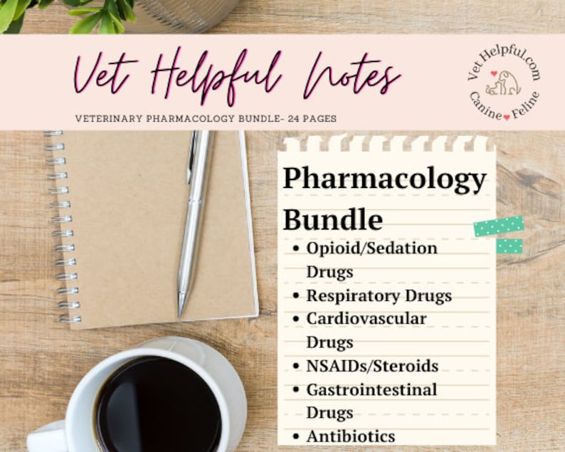 Veterinary Pharmacology Bundle: Antibioticsgi Cardio | Etsy
