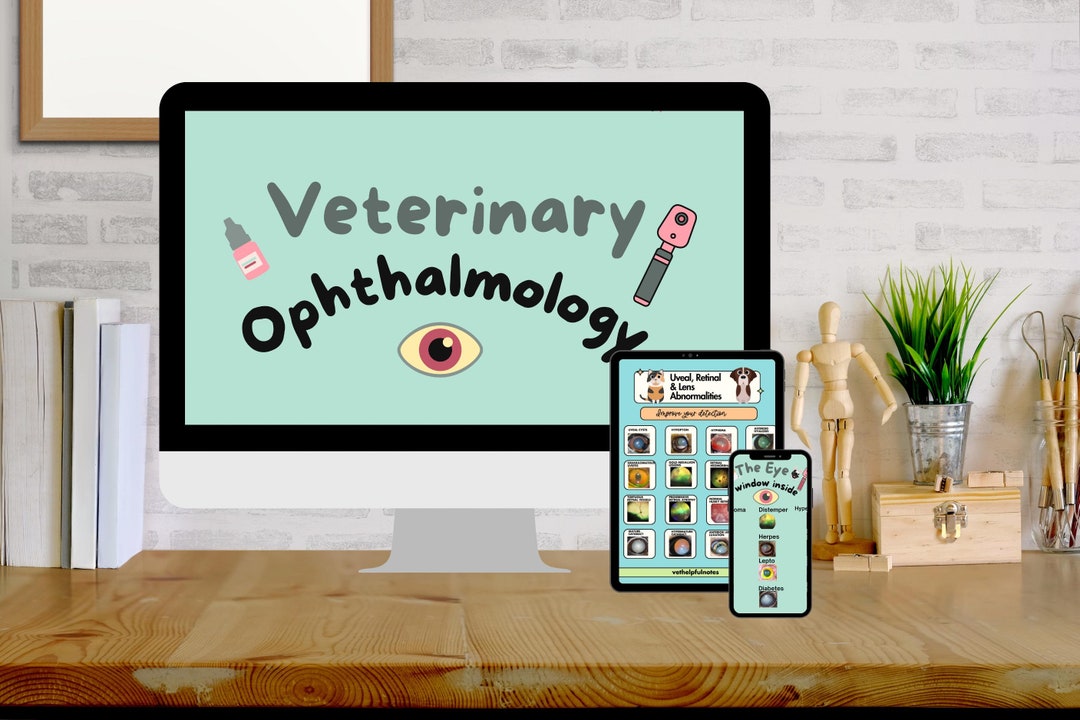 Vet Ophthalmology Notes Vet Med Guide Ophthalmology Cheat Sheets ...