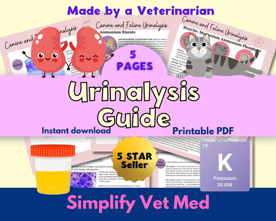 Veterinary Urinalysis Guide - Etsy