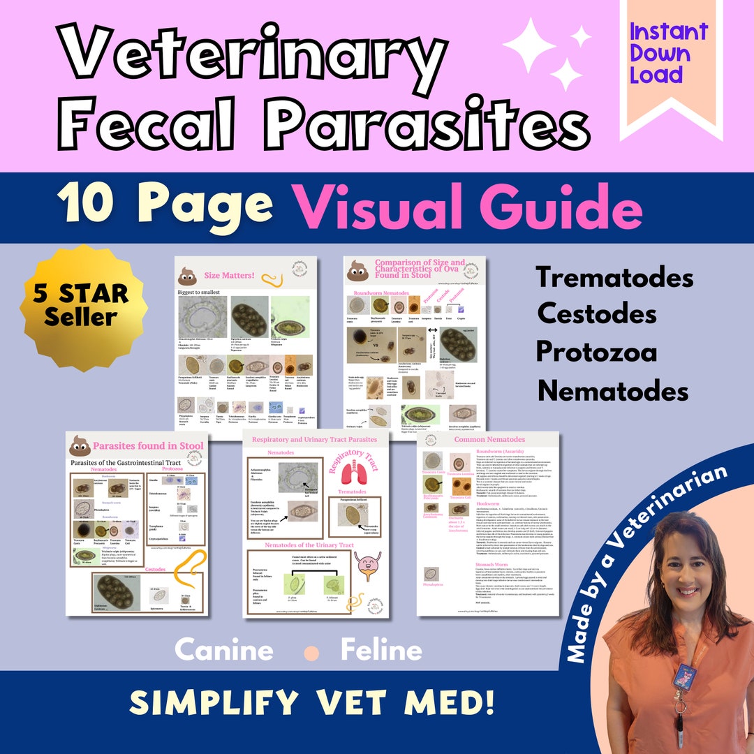 Veterinary Fecal Parasite Guide Vet Tech Fecal Vet Nurse - Etsy