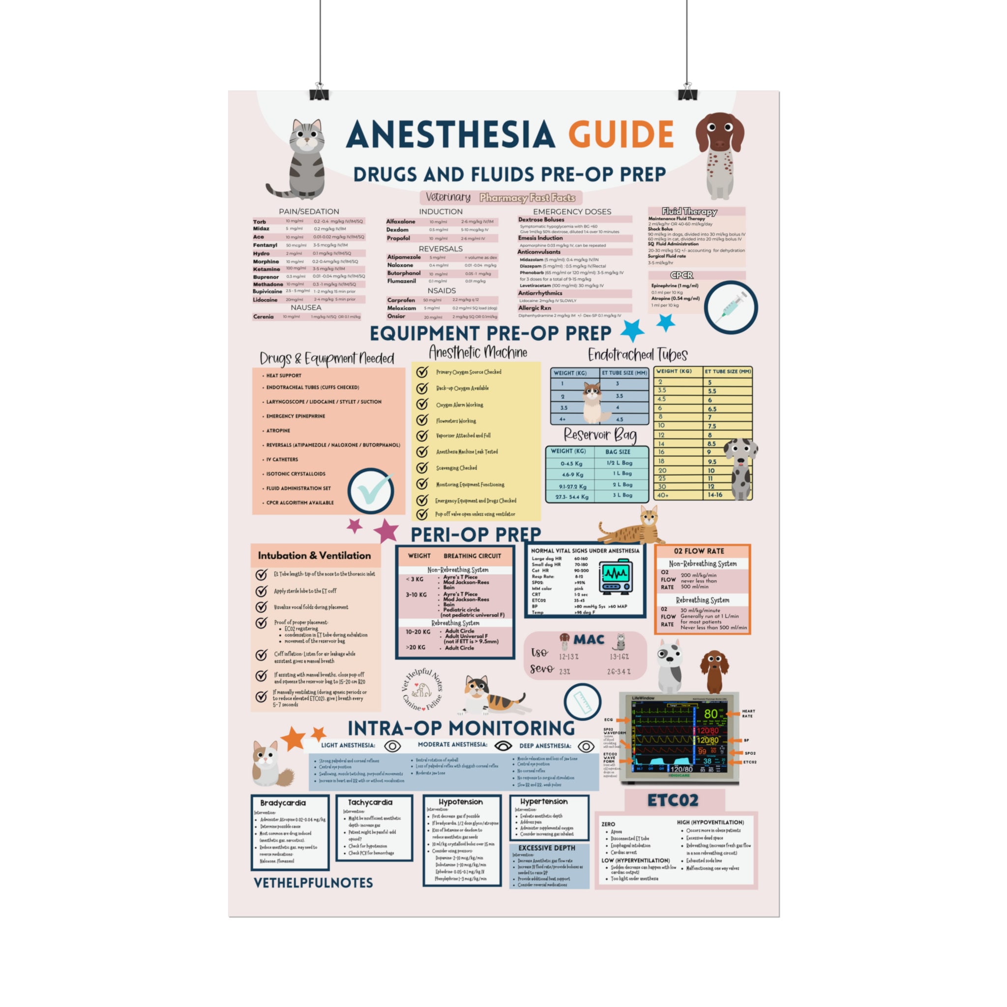 Printable Veterinary Anesthesia Poster Digital Vet Tech Anesthesia ...
