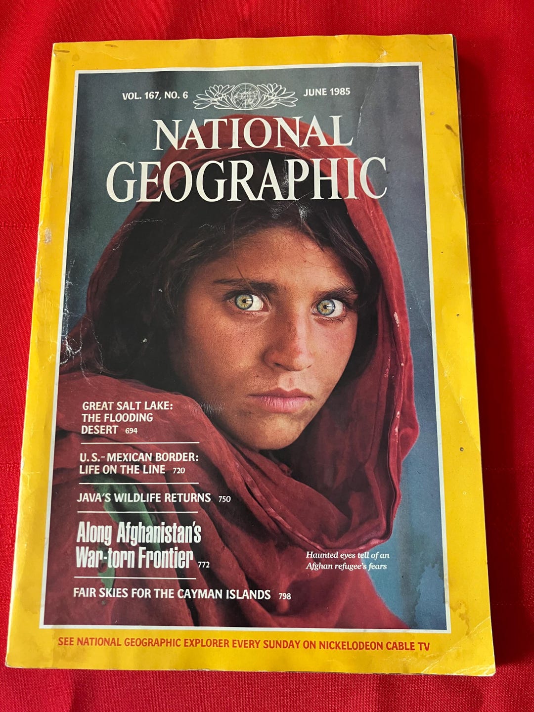 NATIONAL GEOGRAPHIC June 1985 - Etsy