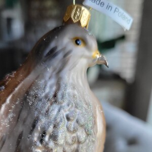 Falcon Bird of Prey Blown Glass Christmas Ornament Decoration - Etsy